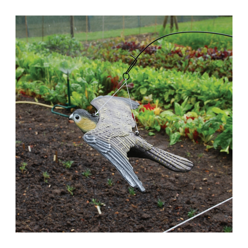 Big Cheese Flying Falcon Decoy | Relay Global